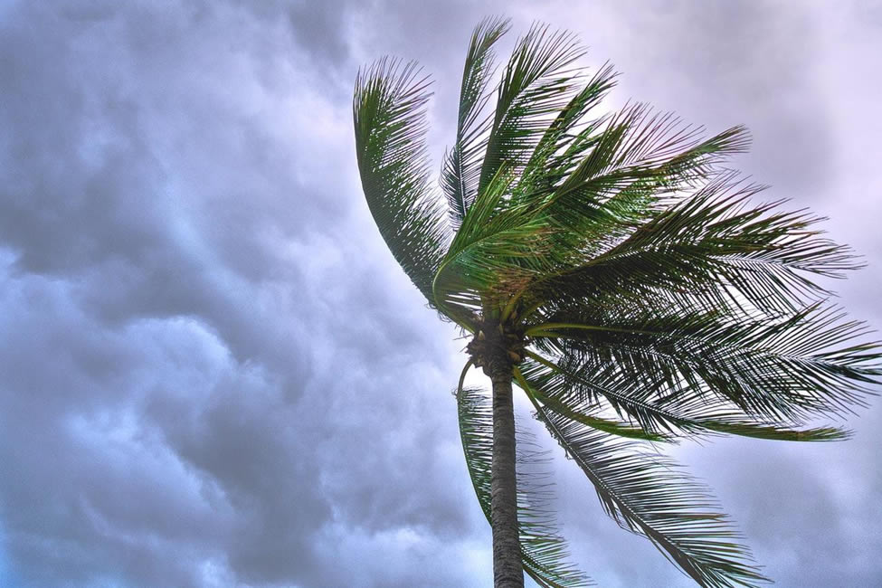 Wind Mitigation Inspection For Florida Homes | 5 Benefits